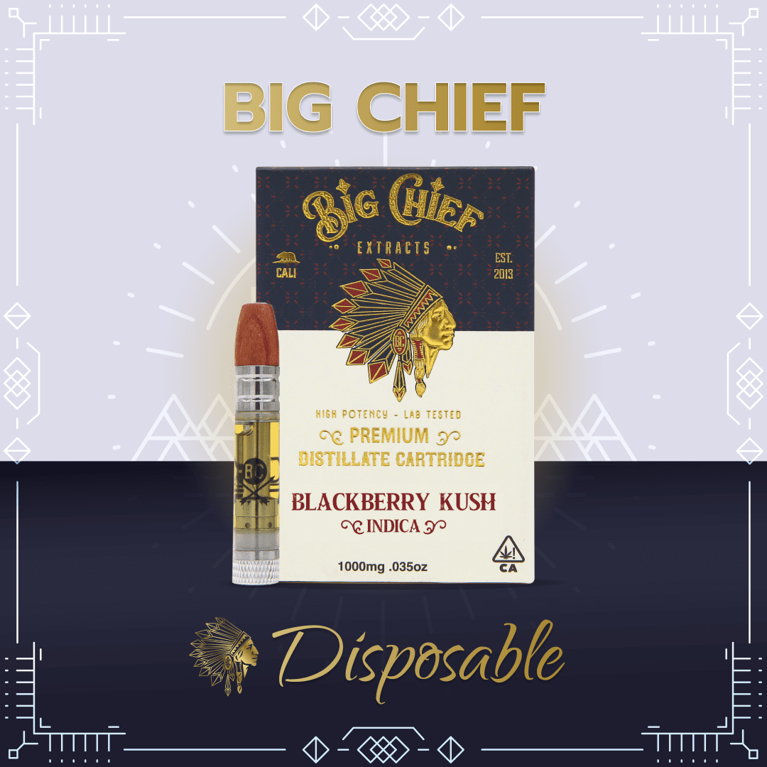 สั่งซื้อ น้ำยากัญชาไฟฟ้า Big Chief Disposable พอต Vape Pod ของแท้ ...